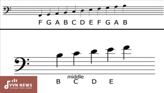 Bass Clef [Understanding This Essential Music Symbol]