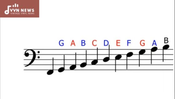 Bass Clef [Understanding This Essential Music Symbol]