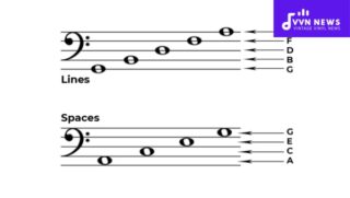 Guide to Clefs in Music: Mastering Notation Basics