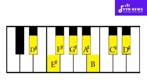 The D Sharp Minor Scale: Your Ultimate Guide to Success